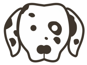 The Borgi: All About The Corgi Border Collie Cross Breed